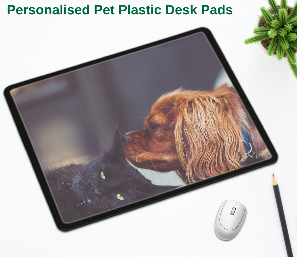 Personalised Pet Plastic Desk Pads 🐾 Pet Prints Fastest Turnaround in ...