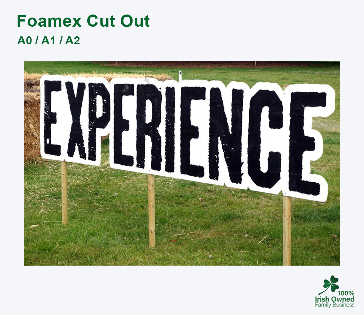 Photoshoot Cutout | Printing Dublin ☘️ Fastest Turnaround in Ireland ...